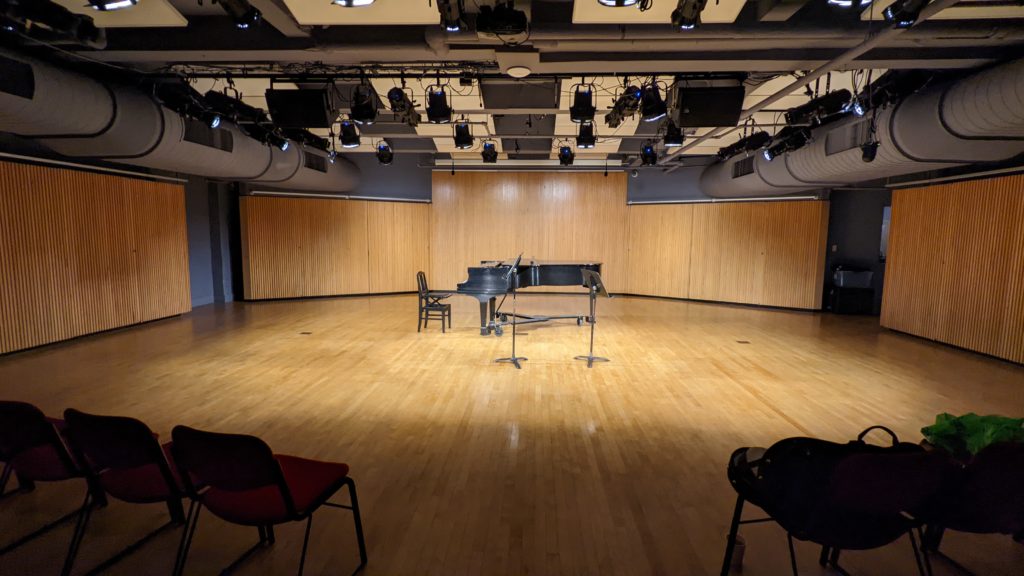 Feeling the Audience Energy | Violinna.Live